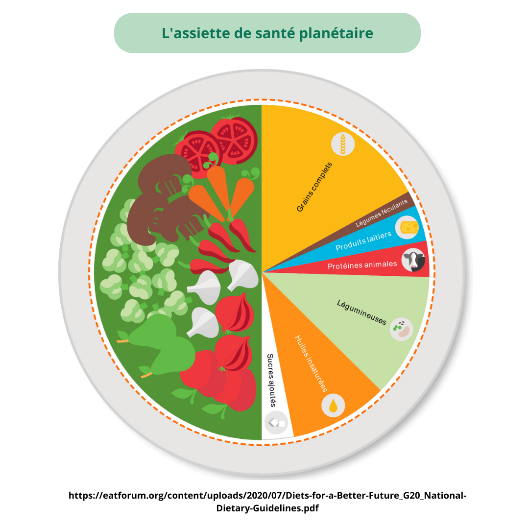 Zoom sur le régime de santé planétaire | Hopitaux Iris Sud